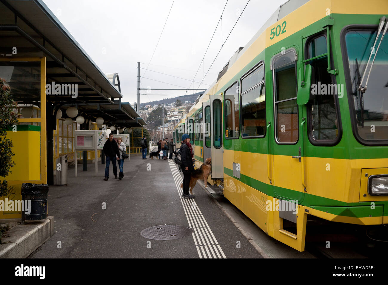 Woman getting on train with large dog, people, many Stock Photo - Alamy