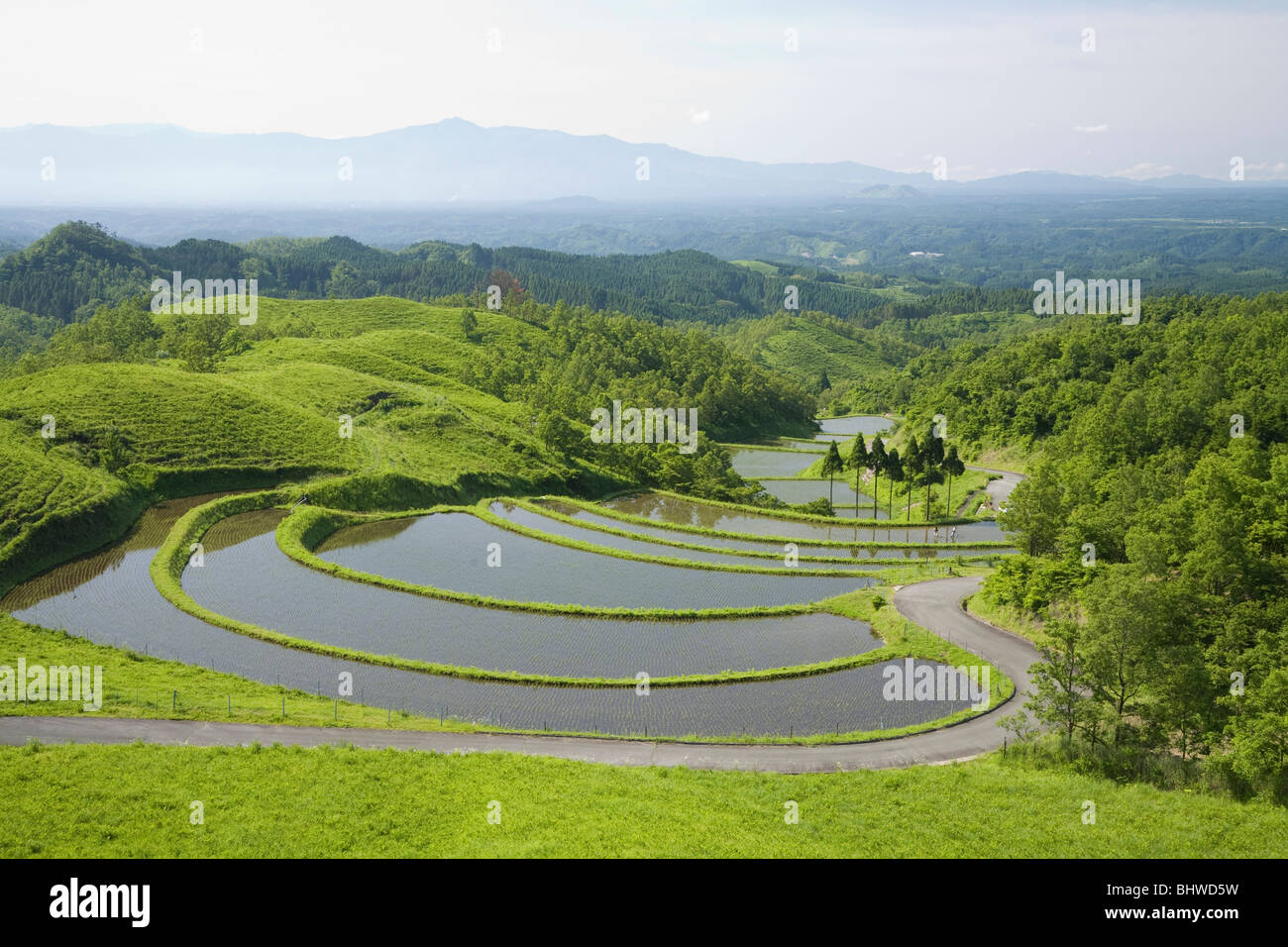 Ougi Terraced Rice Paddies, Ubuyama, Kumamoto, Japan Stock Photo - Alamy