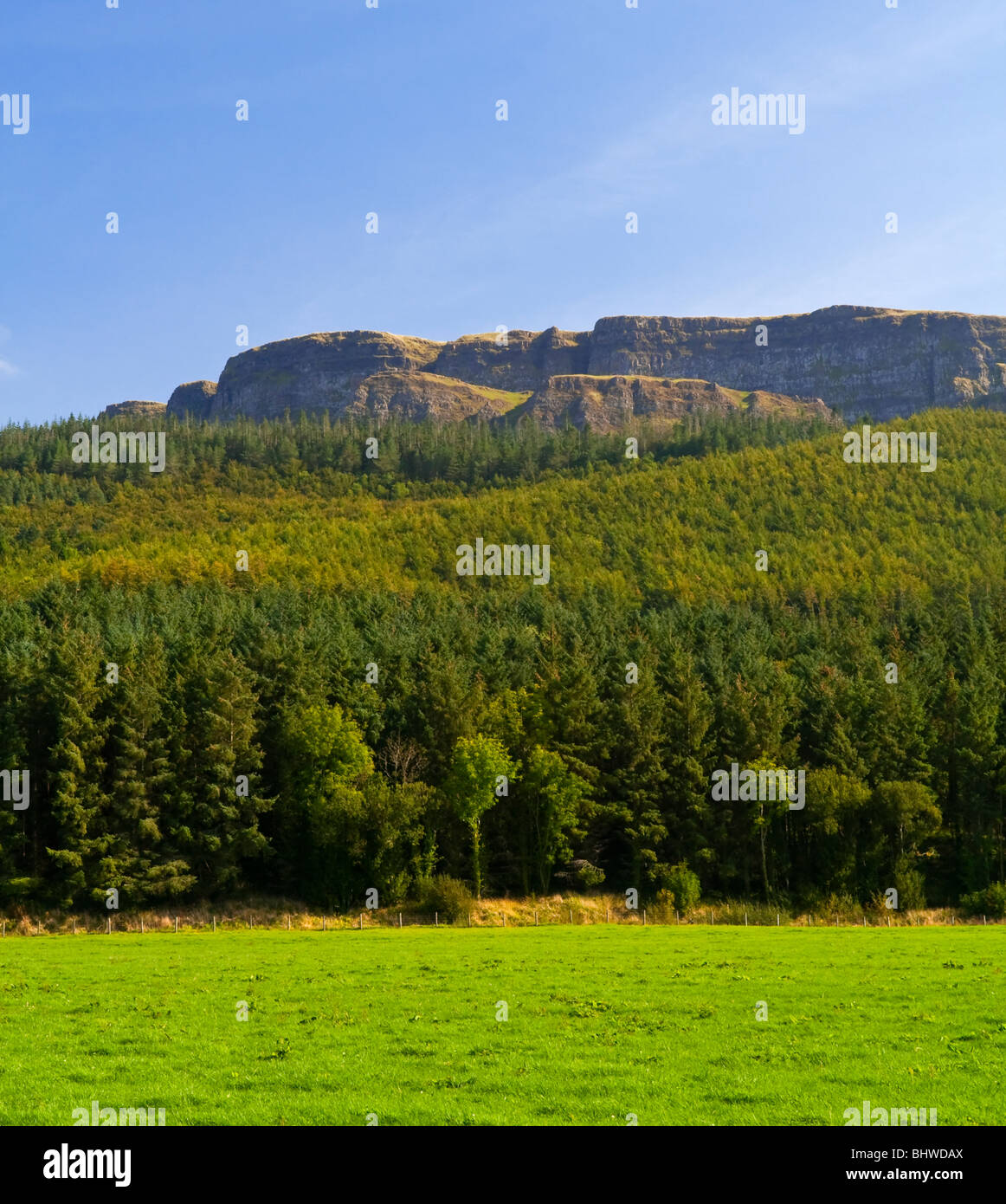 Forest and field with the crags of Binevenagh mountain beyond near ...