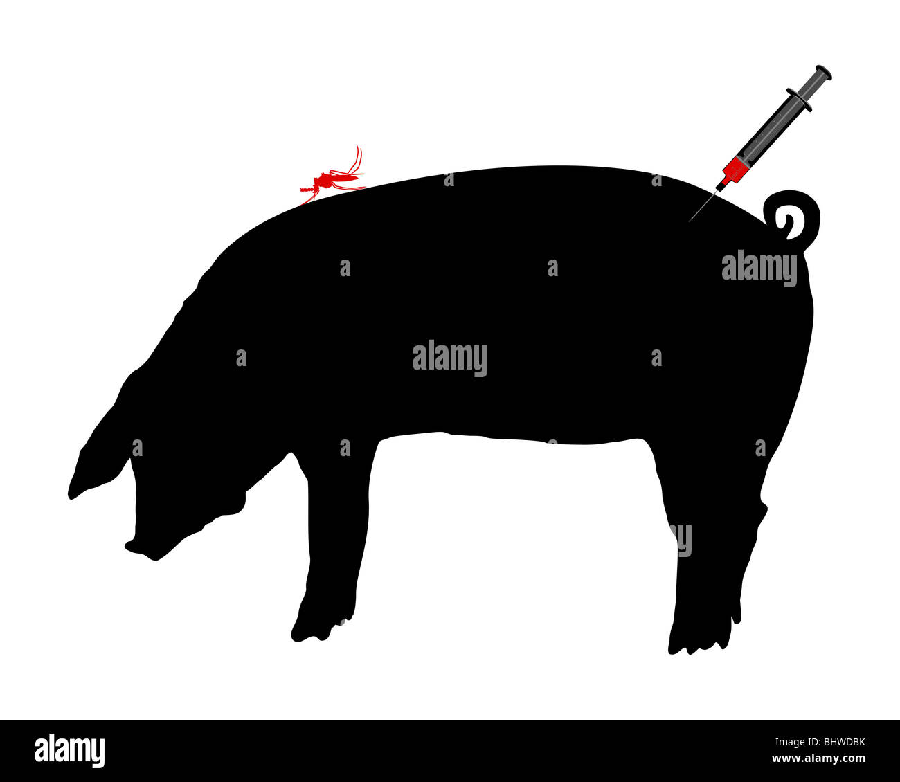 Pig bites hi-res stock photography and images - Alamy