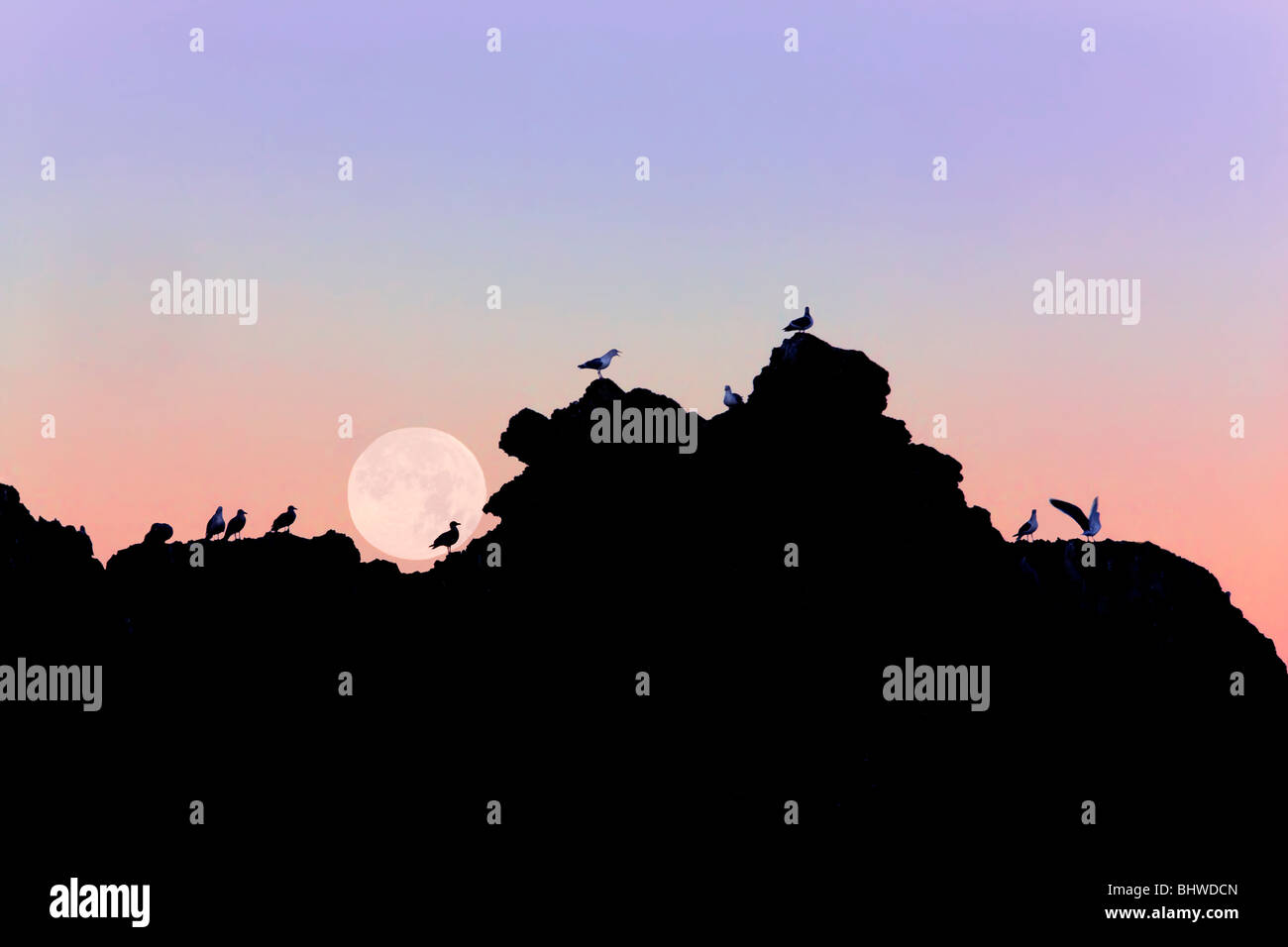 Full moon setting over rock at Bandon Beach with seagulls. Bandon ...