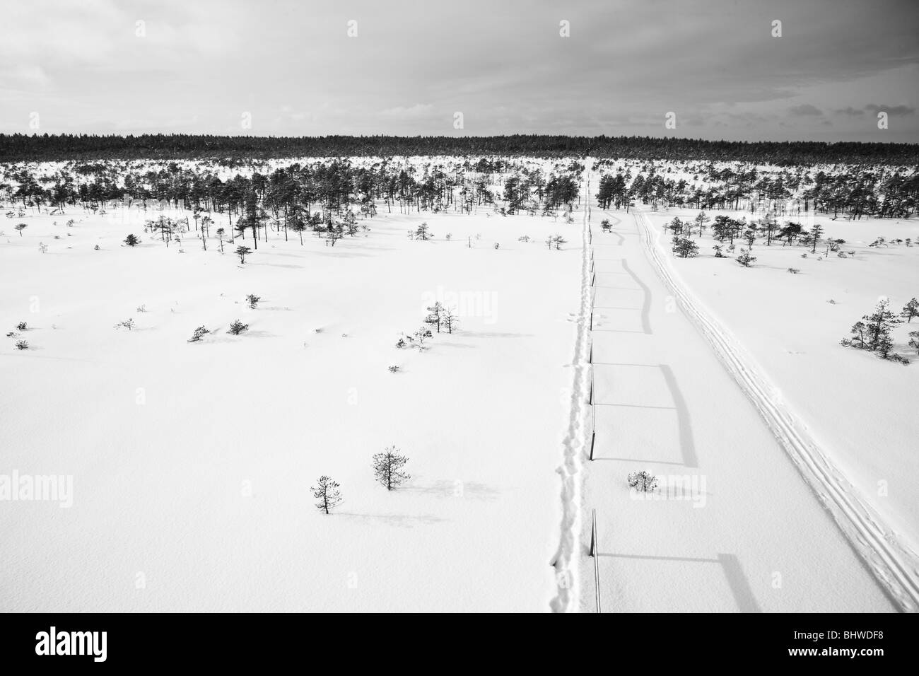 Foot path and ski track in the snowy bog Stock Photo - Alamy