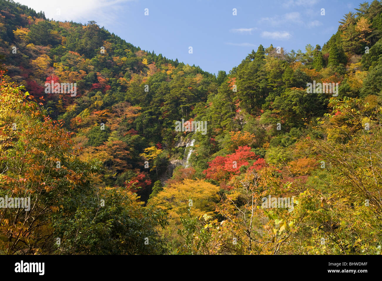 Yatsushiro japan hi-res stock photography and images - Alamy