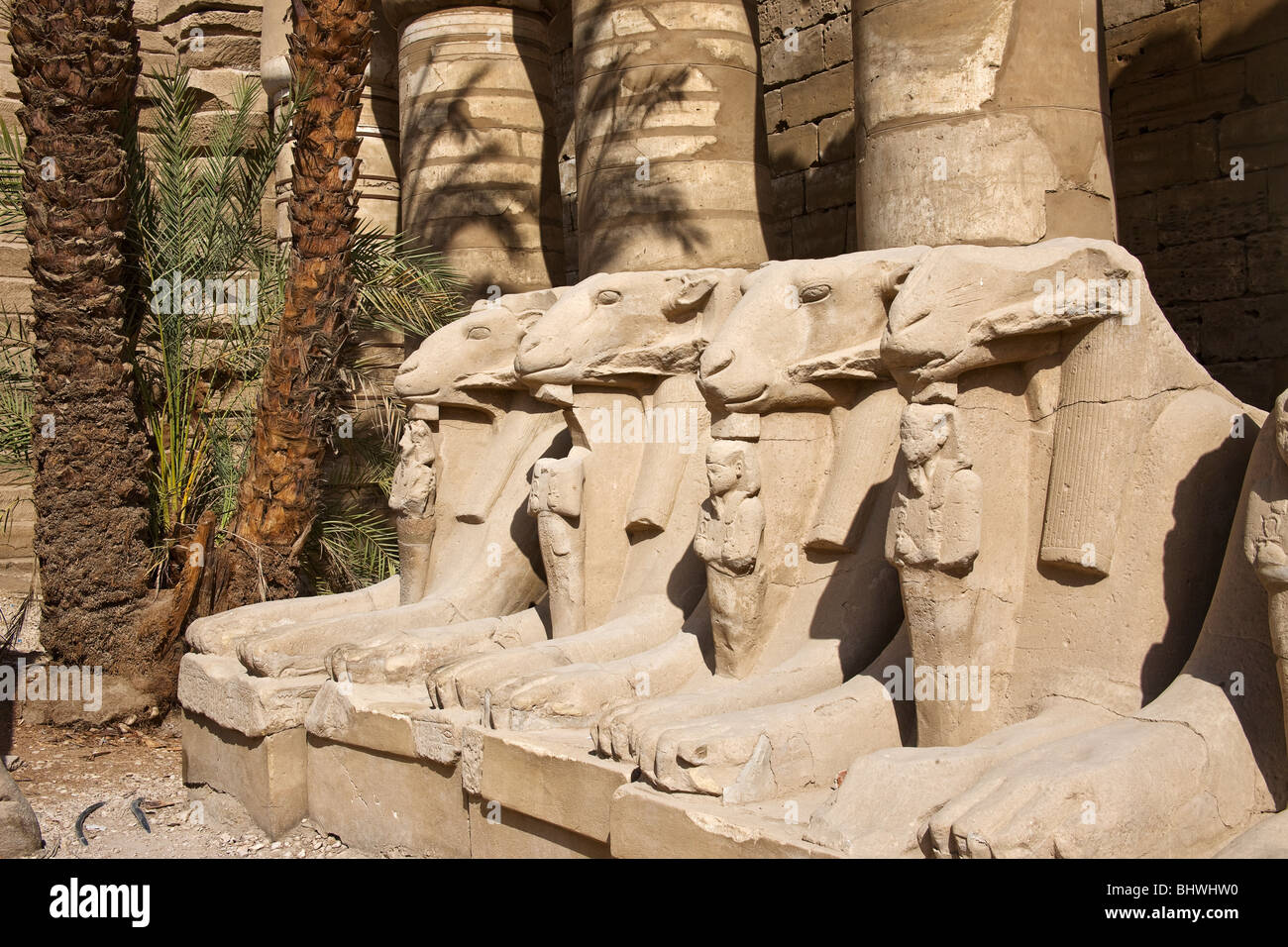 Four headed hi-res stock photography and images - Alamy