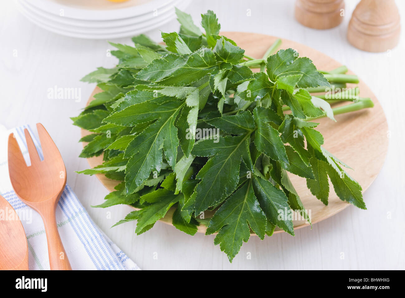 Angelica keiskei hi-res stock photography and images - Alamy