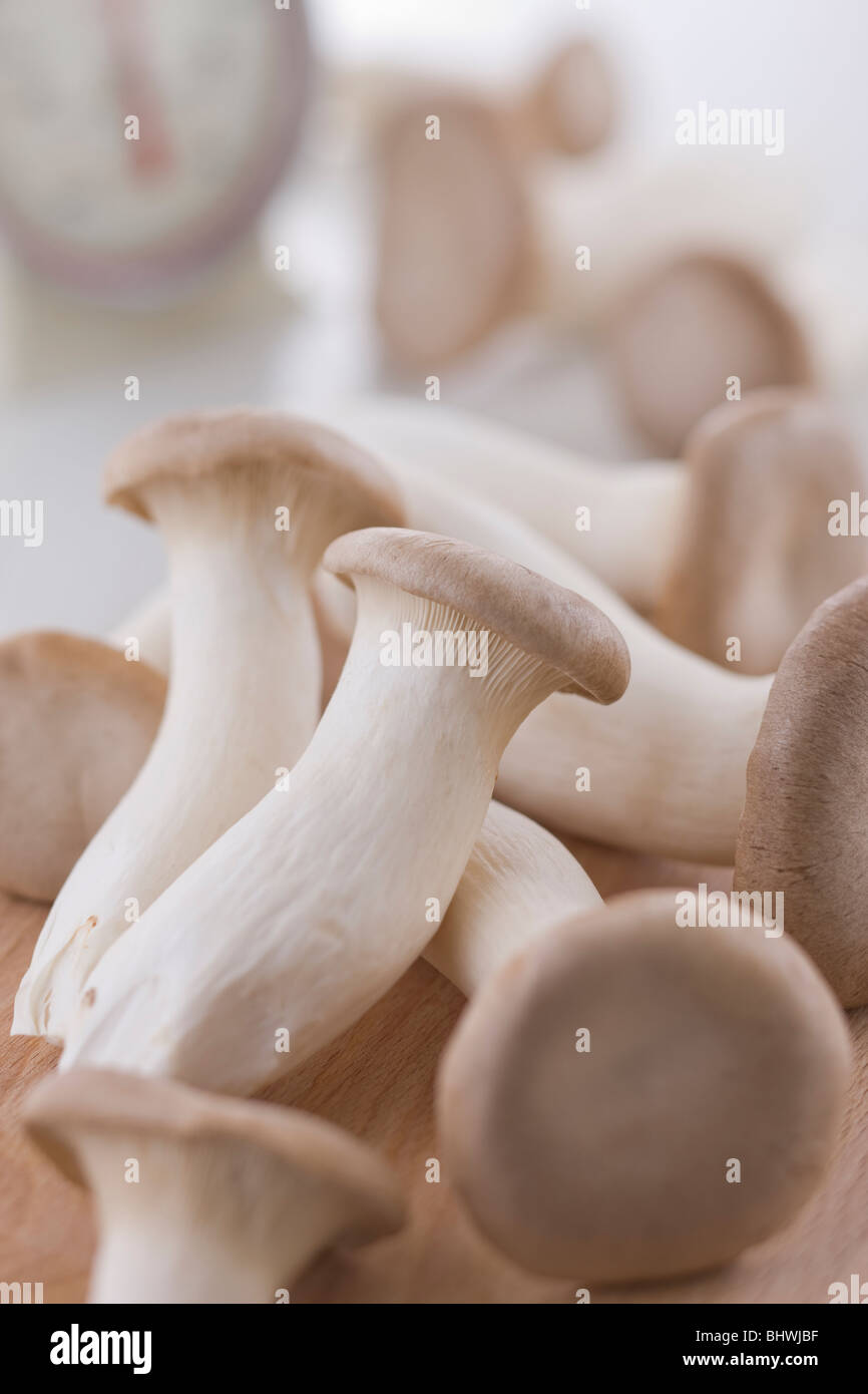 Eringi hi-res stock photography and images - Alamy