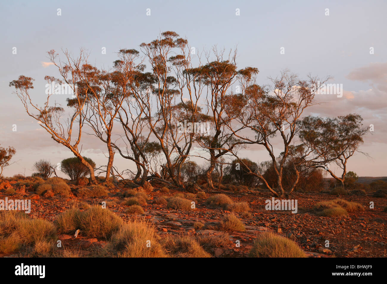 Gawler Ranges National Park, South Australia Stock Photo - Alamy