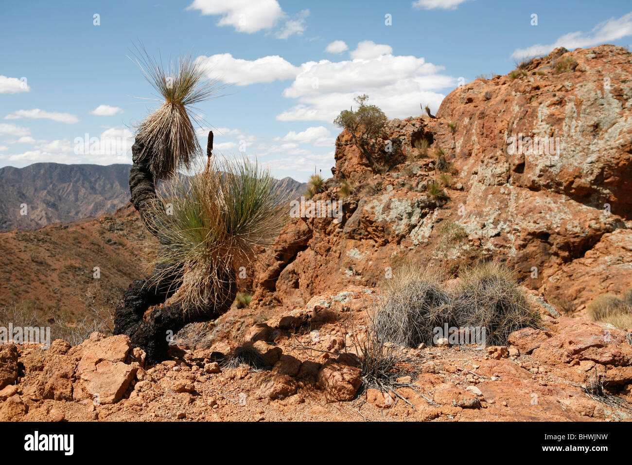 Arkaroola Wilderness Sanctuary, Flinders Ranges, South Australia Stock ...
