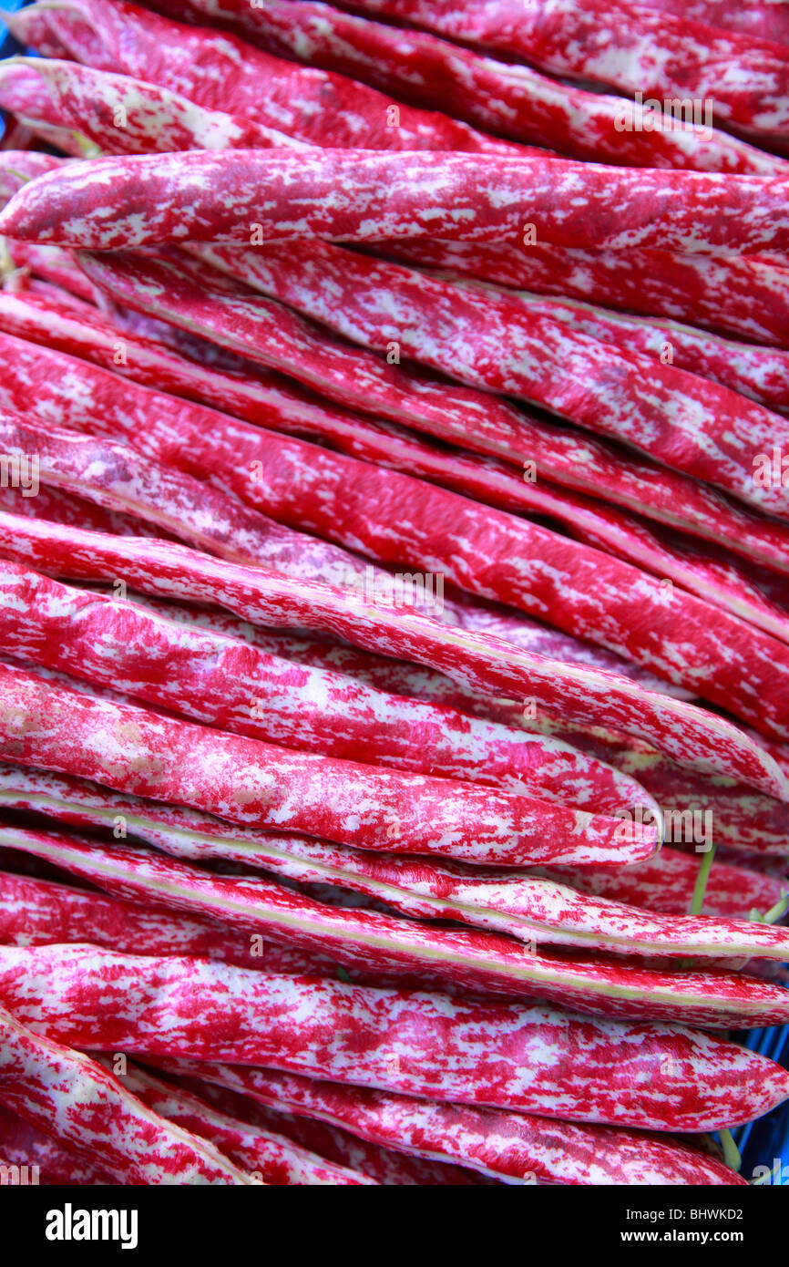 Group kidney beans hi-res stock photography and images - Alamy