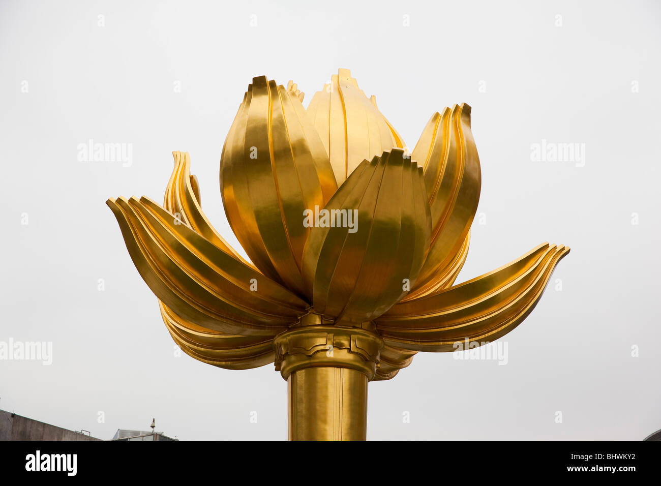 macau golden lotus square Stock Photo - Alamy