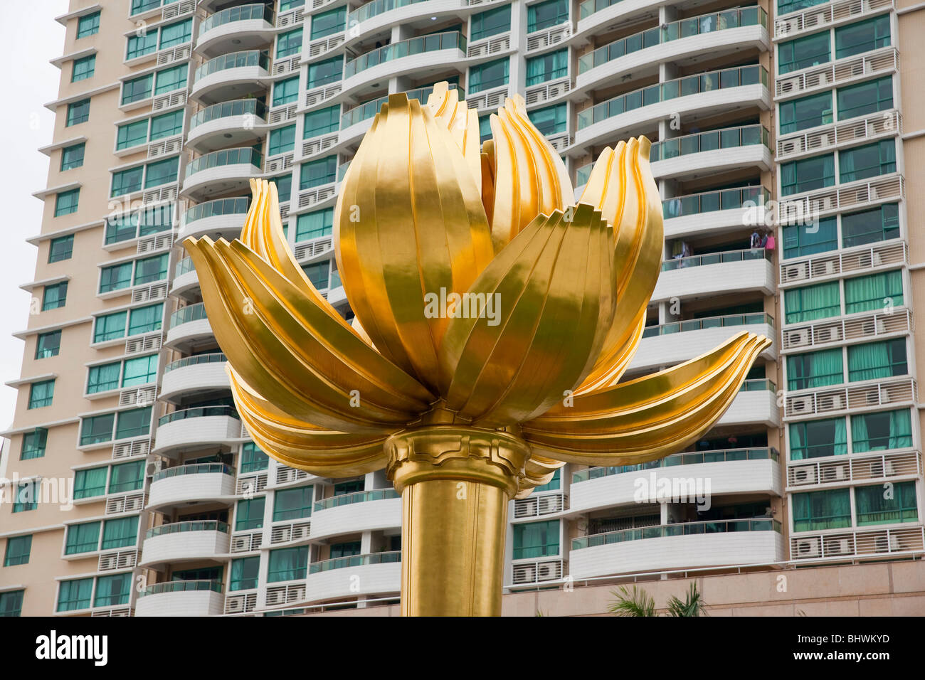 macau golden lotus square Stock Photo - Alamy