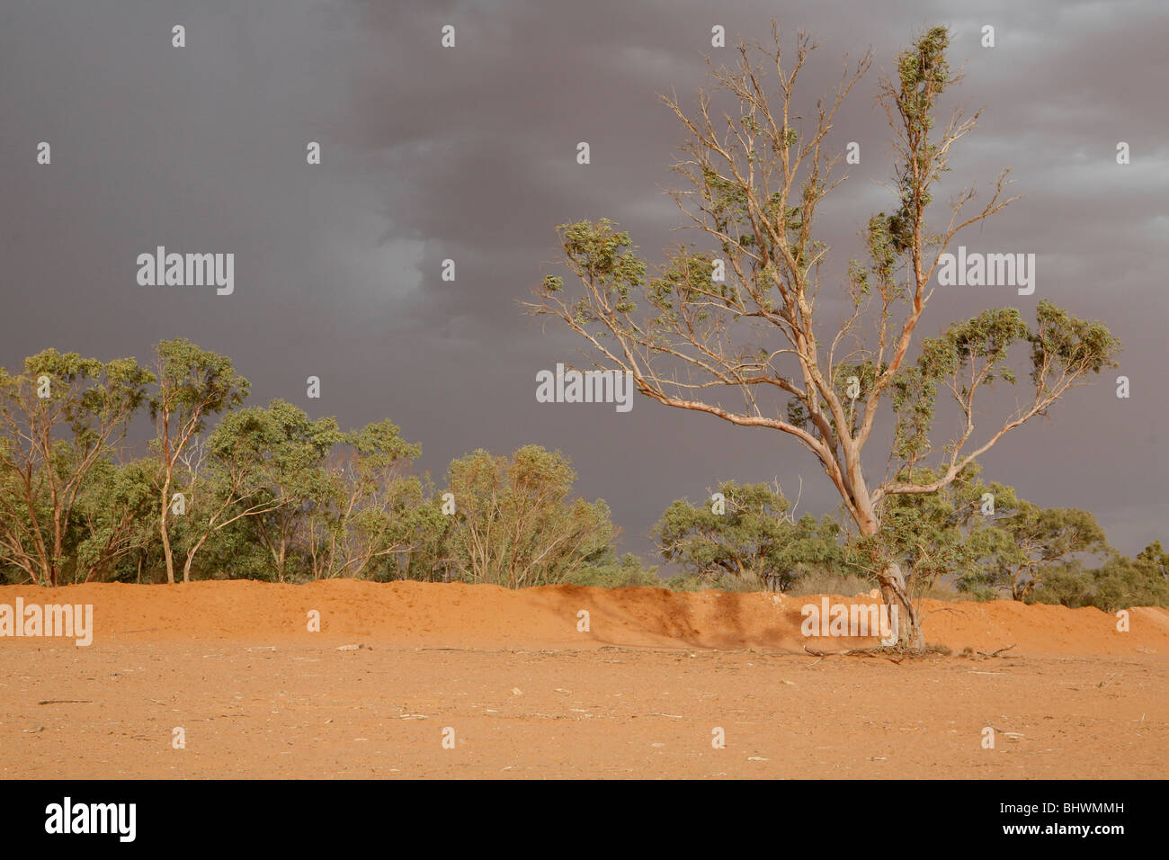 Dust storm australia hi-res stock photography and images - Alamy