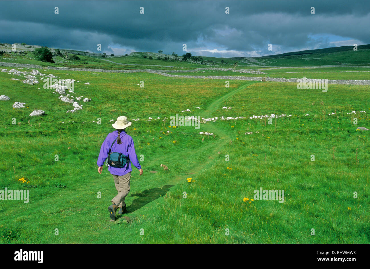 Walker follows Dales Way footpath amid karst topography, Yorkshire ...