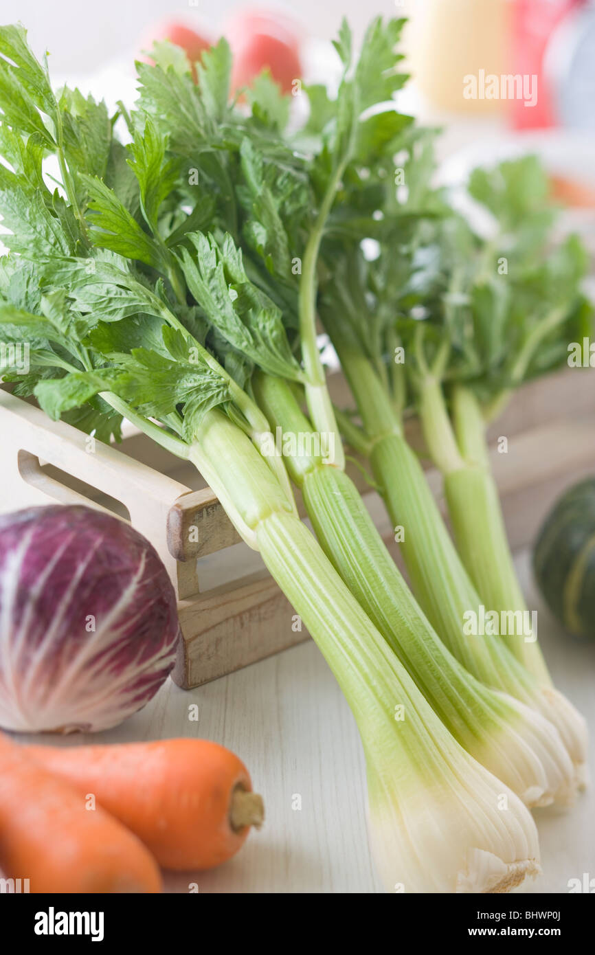 Cabbage vegetable box hi-res stock photography and images - Alamy