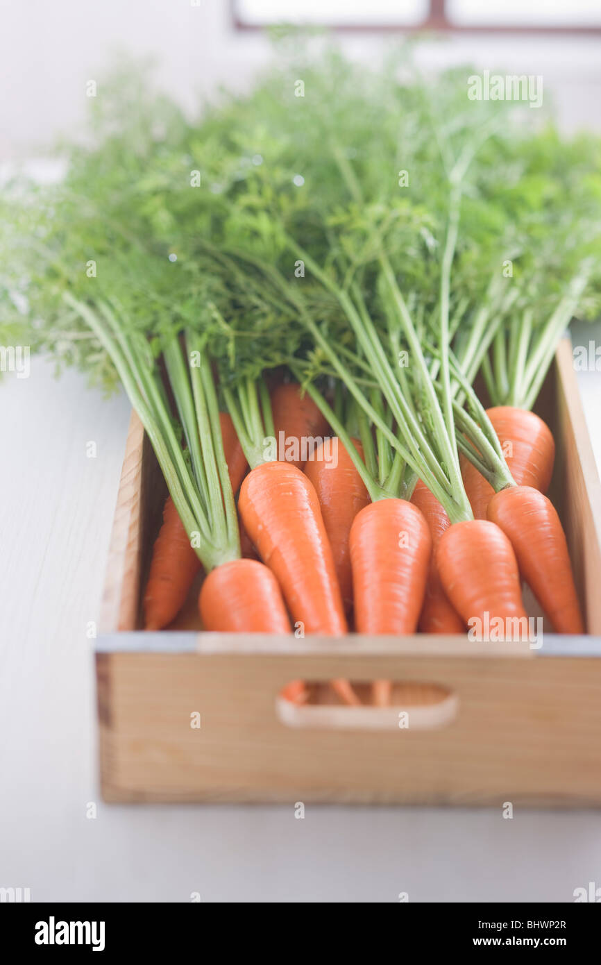 Carrot in a Box Stock Photo - Alamy