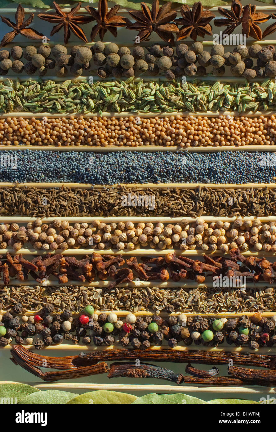 Collection of Spices Stock Photo - Alamy