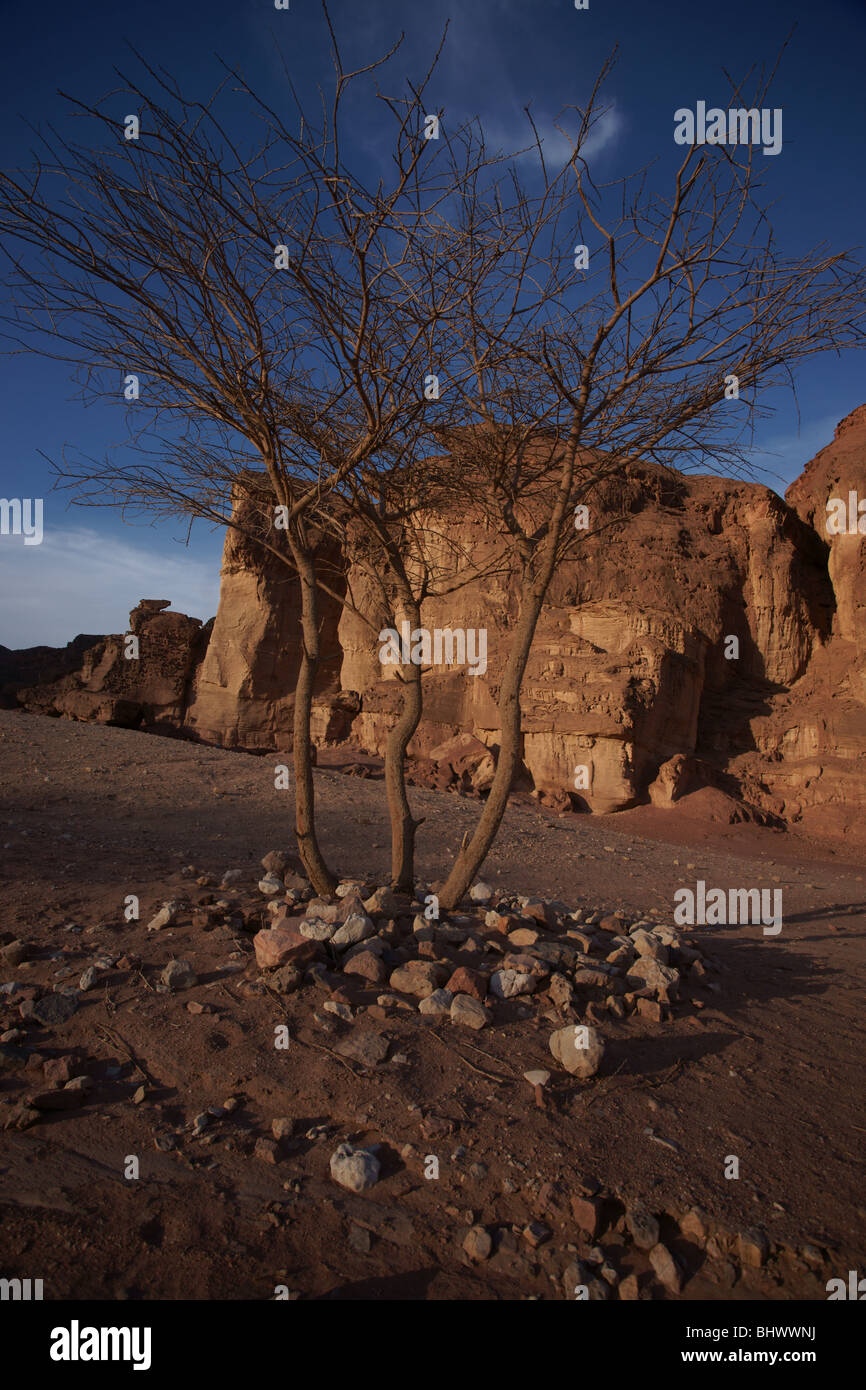 The capital of the qataban kingdom hi-res stock photography and images ...