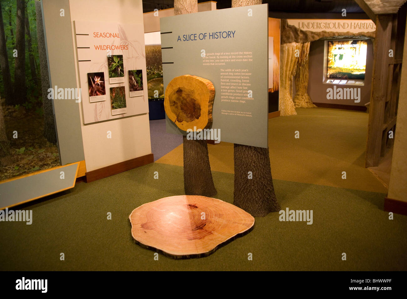 Runge Conservation Nature Center Stock Photo - Alamy