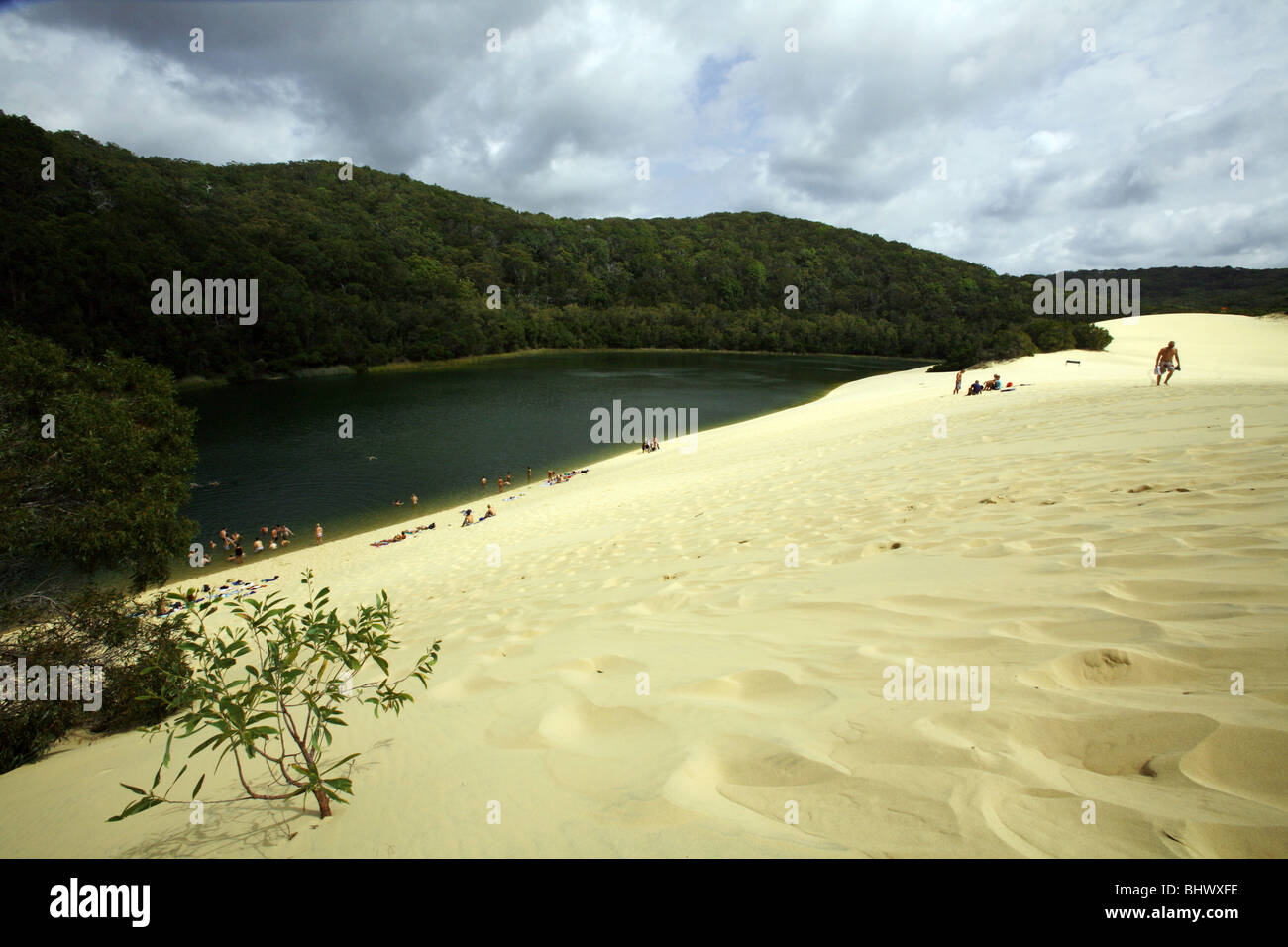 Lake Wabby - a barrage lake formed when moving sand dunes block a ...