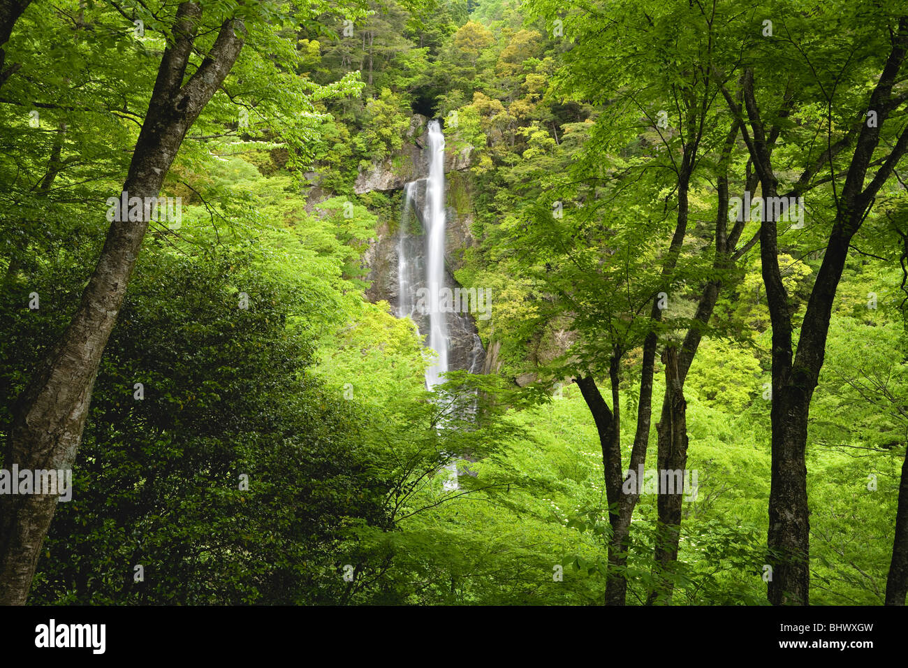 Sendan Todoroki Falls, Yatsushiro, Kumamoto, Japan Stock Photo - Alamy