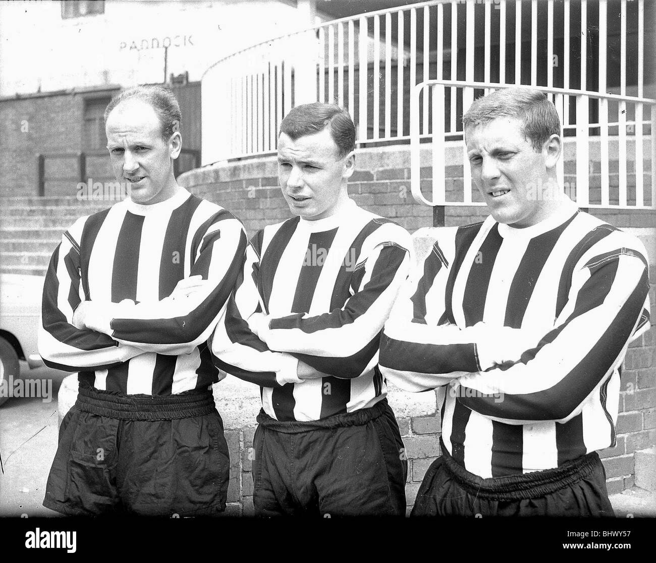 A NEWCASTLE UNITED 1963-64 TEAM GROUP PICTURE . (L TO R) JIM ILEY ...