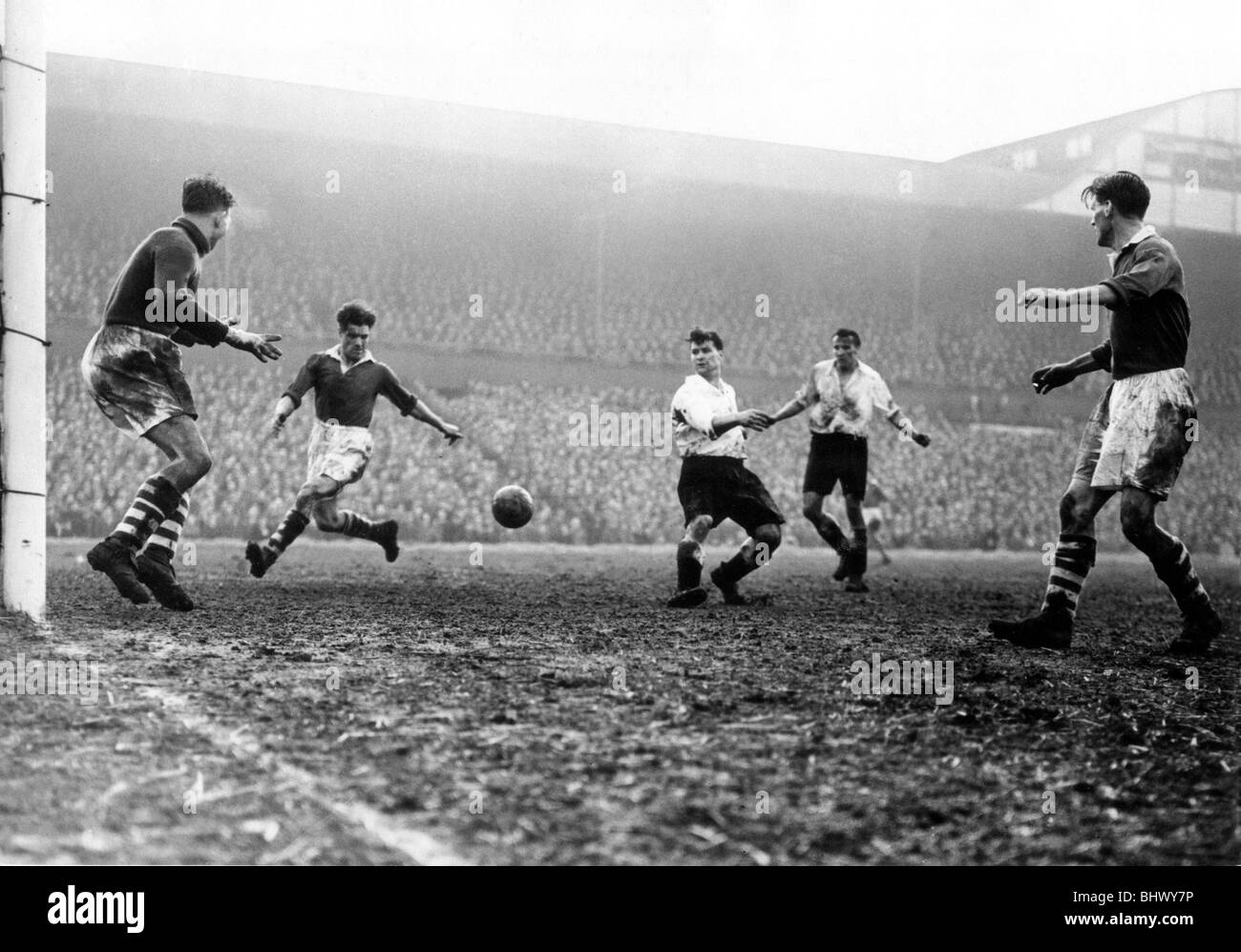 Len white hi-res stock photography and images - Alamy