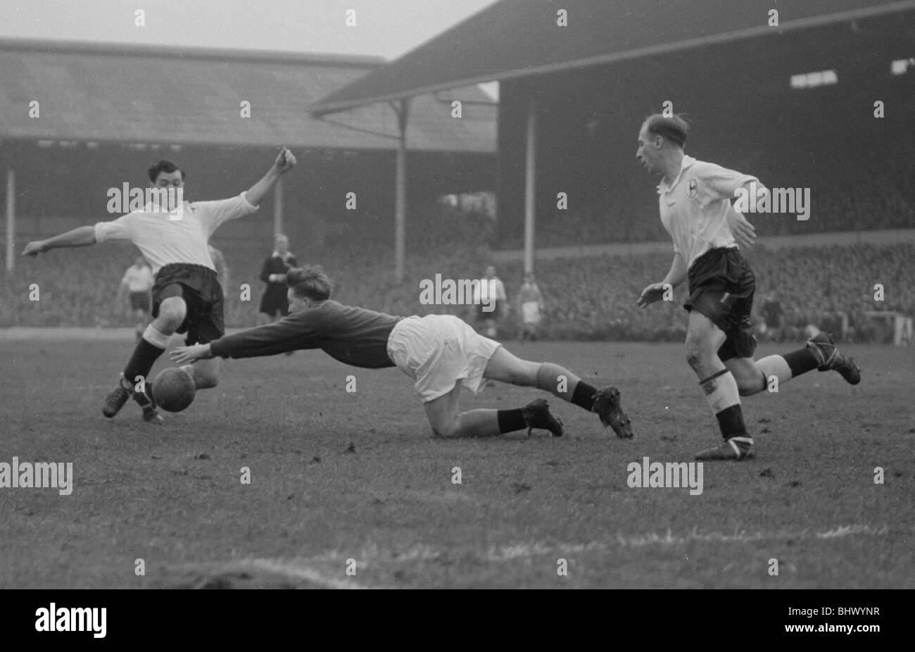 1950s diving hi-res stock photography and images - Alamy