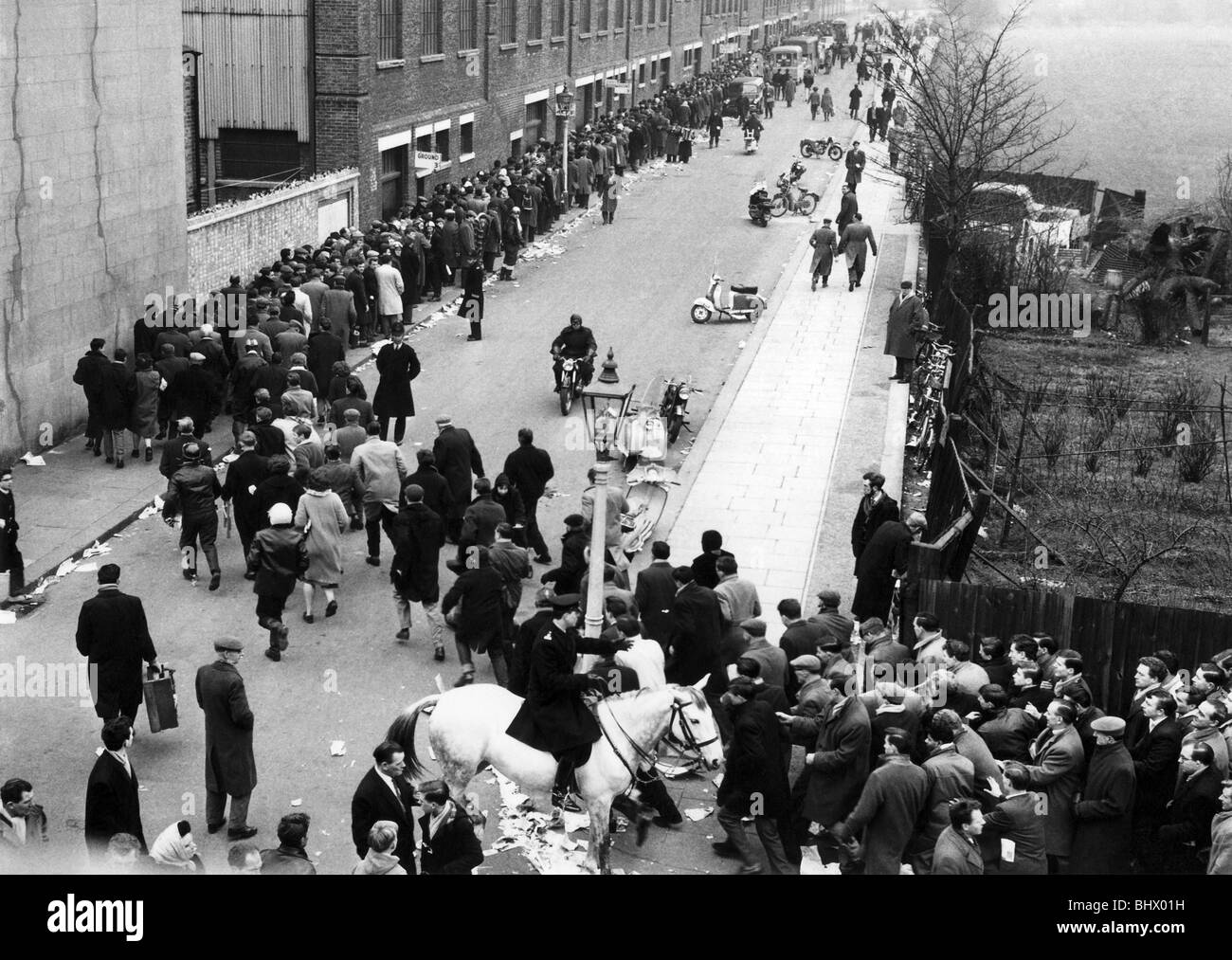 Thousands queue all night at Tottenham Hotspur football ground for ...