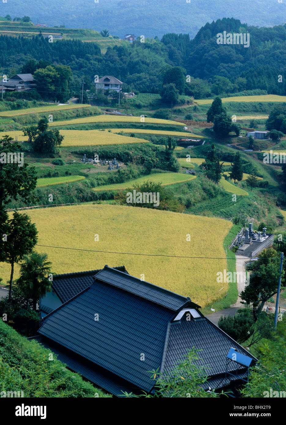 Kitasho Terraced Rice Paddies, Kumenan, Okayama, Japan Stock Photo - Alamy