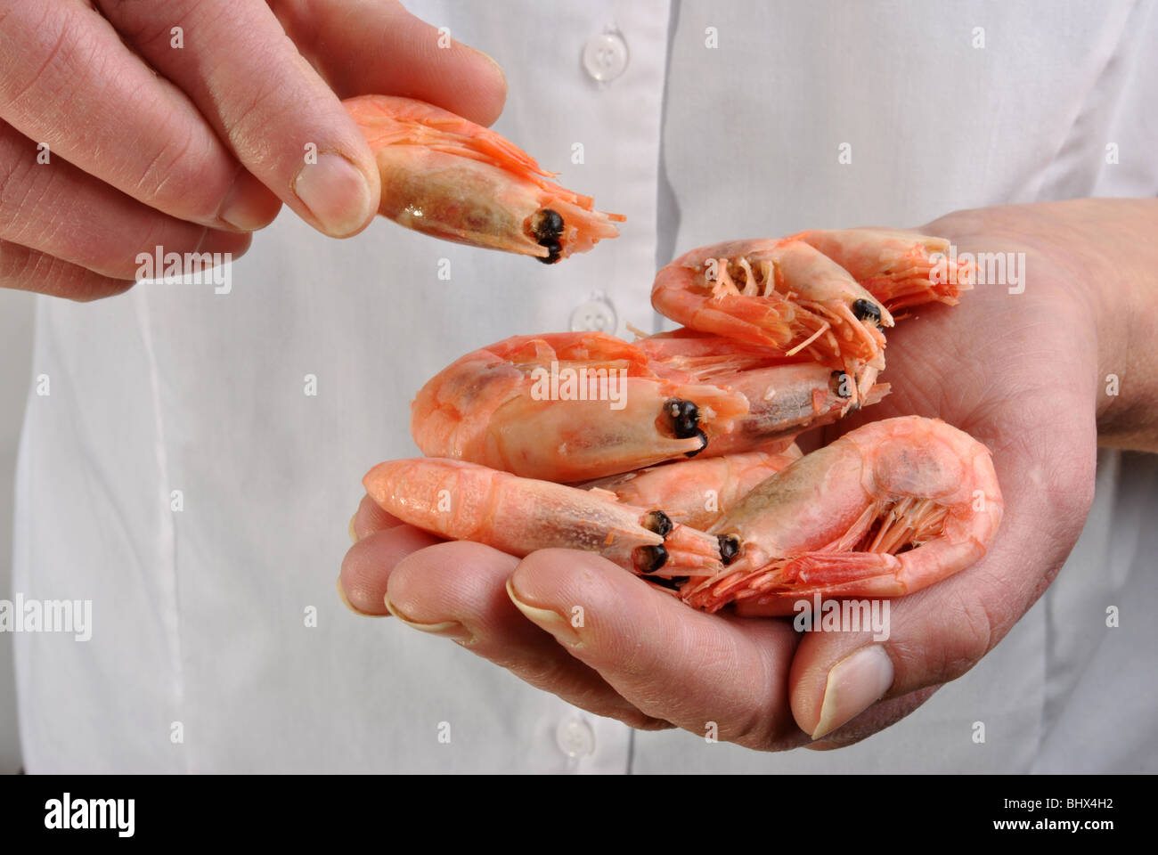 Eat prawns hi-res stock photography and images - Alamy