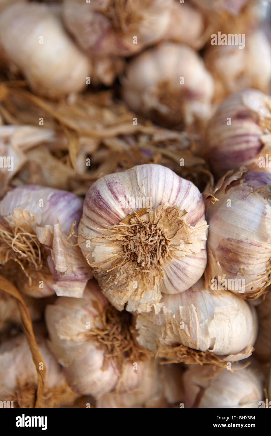Dehydrated garlic hi-res stock photography and images - Alamy