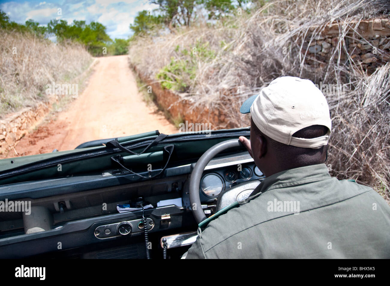 Game Drive/Safari with Ranger Stock Photo - Alamy