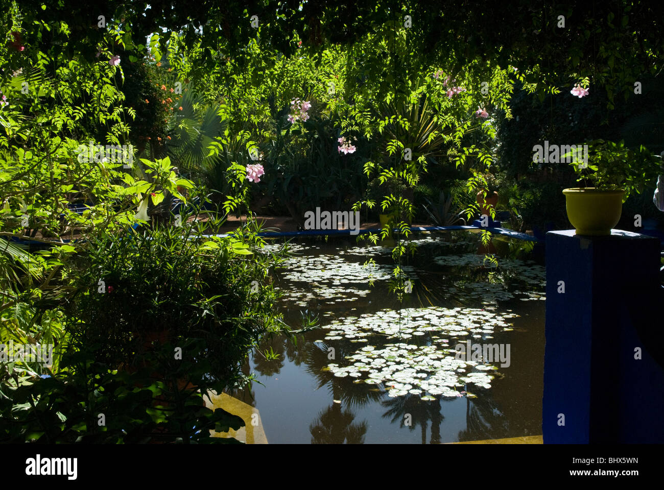 Water feature in the Jardin Majorelle, Marrakech, Morocco Stock Photo ...