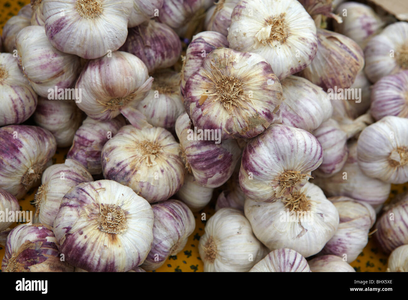 Dehydrated garlic hi-res stock photography and images - Alamy