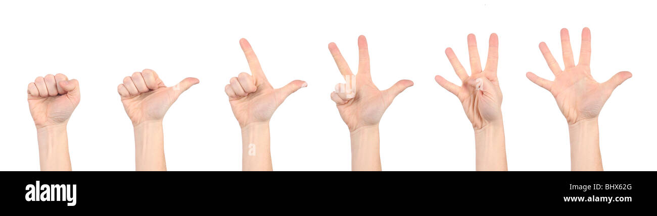 Full isolated studio picture from hands make a symbol sign Stock Photo ...