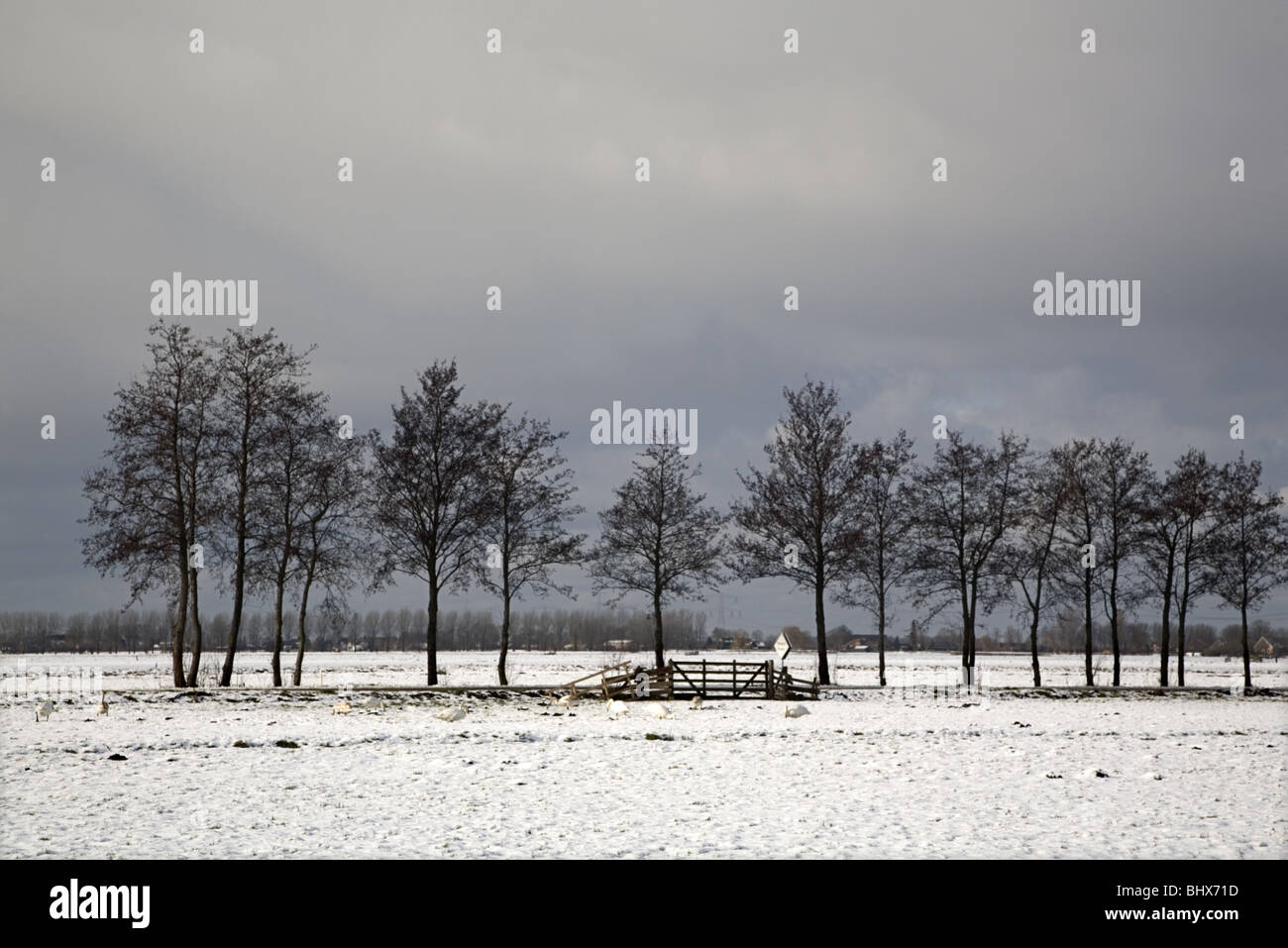 Dark grey sky with snow hi-res stock photography and images - Alamy