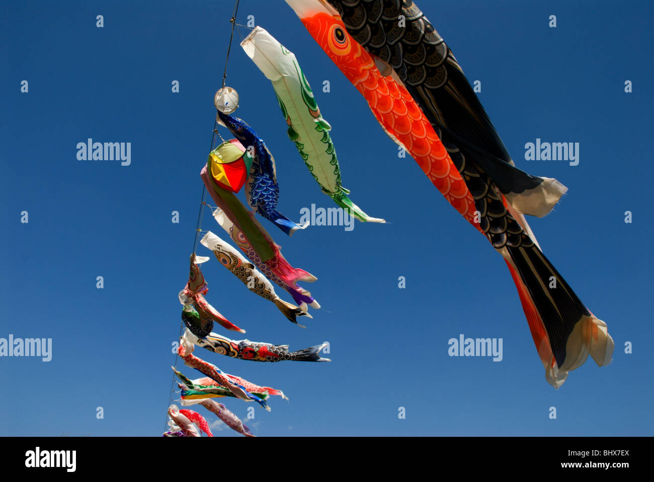 Koinobori kodomonohi banners flags hi-res stock photography and images ...