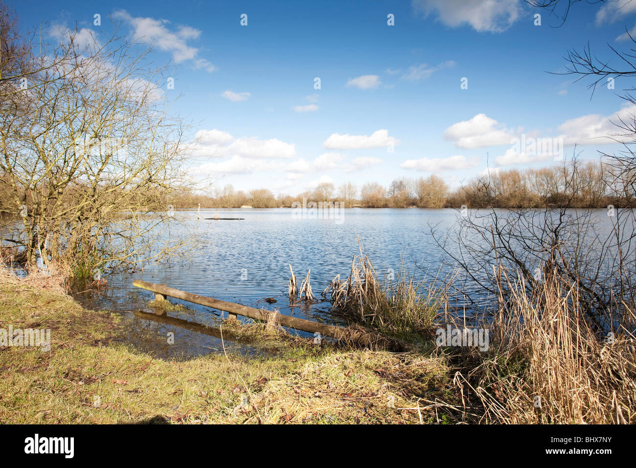 Lake side view hi-res stock photography and images - Alamy