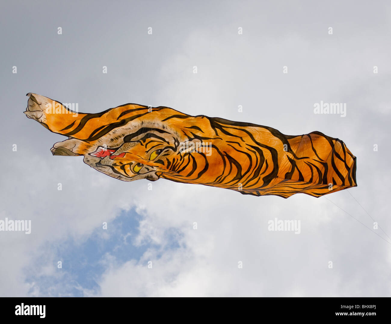 large tiger kite in the sky Stock Photo - Alamy