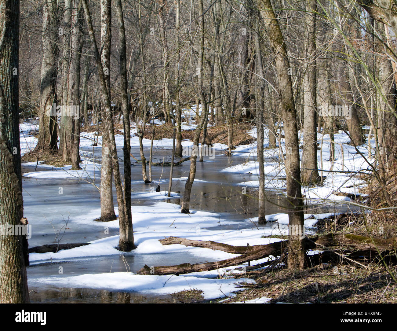 Melting of snow hi-res stock photography and images - Alamy