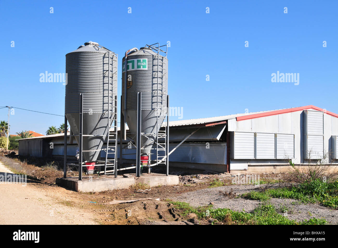 Israel, Galilee, a chicken coop with feeding silo on a Moshav Stock ...
