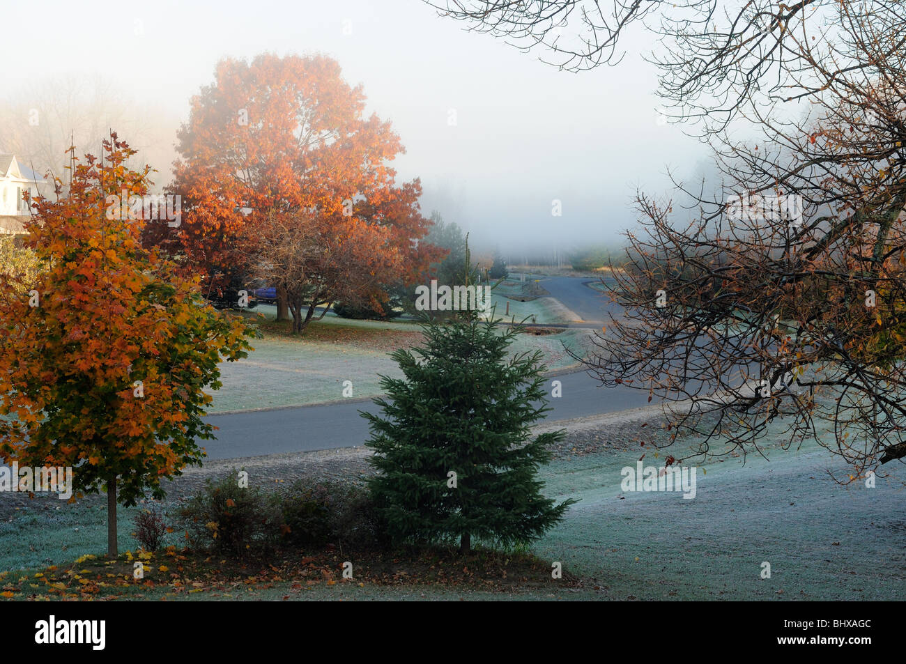 Frosty fall colors hi-res stock photography and images - Alamy