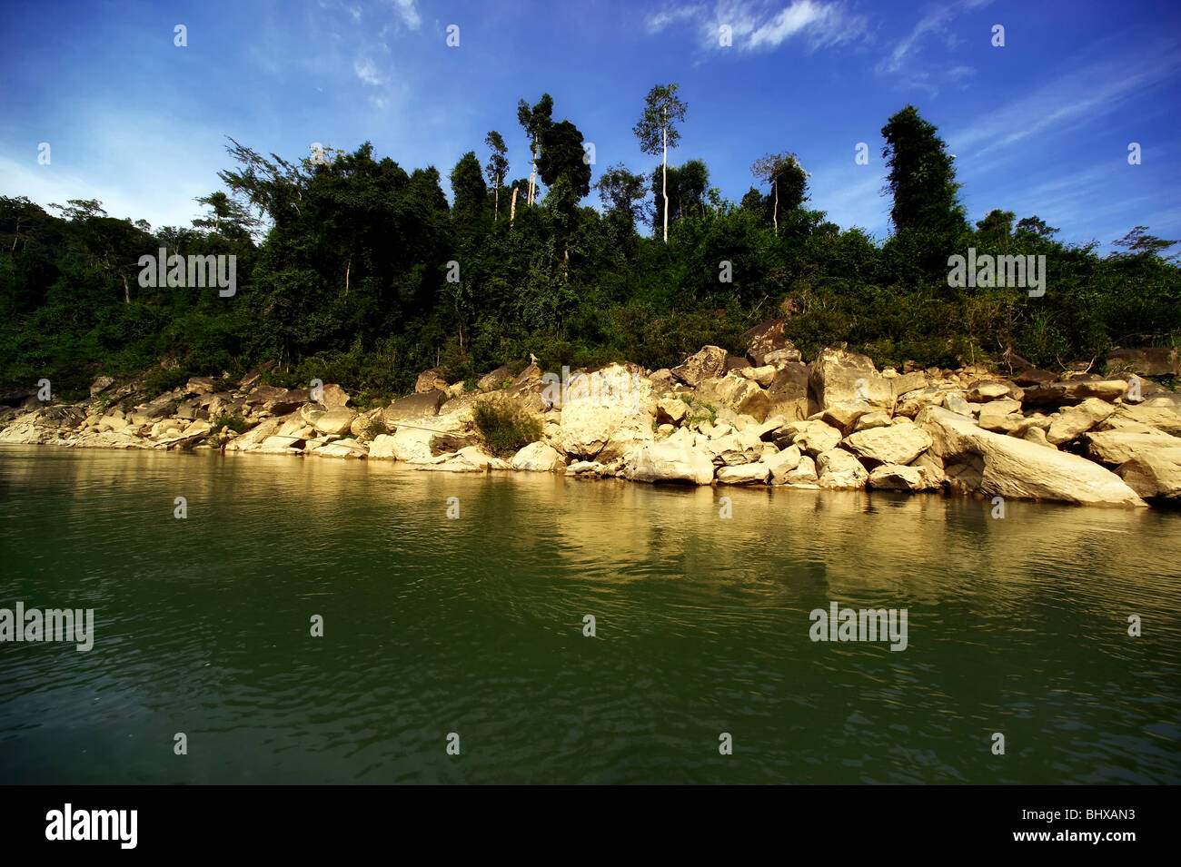 Green tree river nam hi-res stock photography and images - Alamy