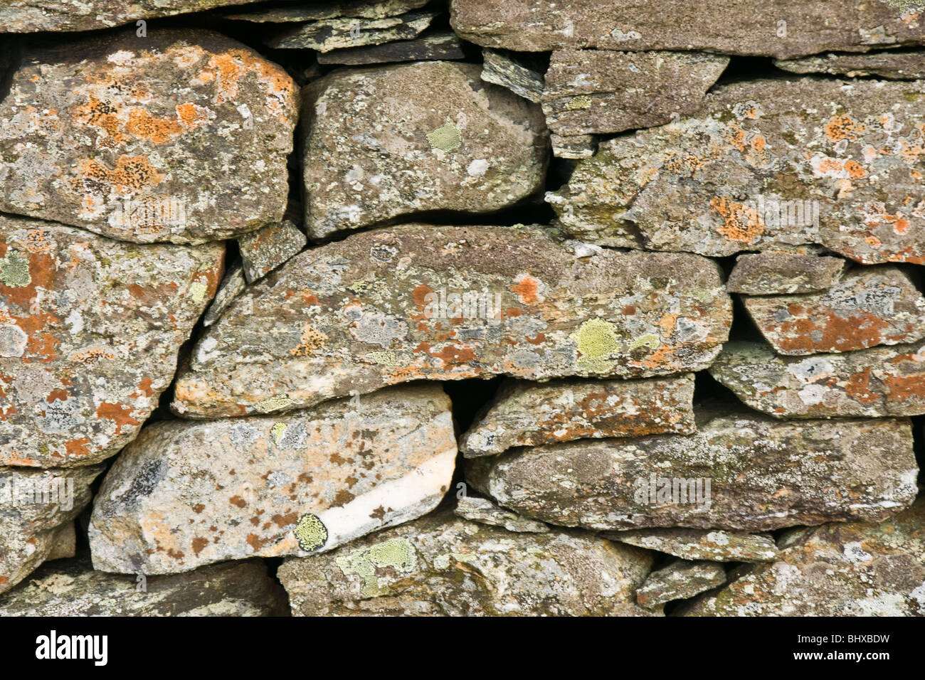 Lichen growing on stone hi-res stock photography and images - Alamy