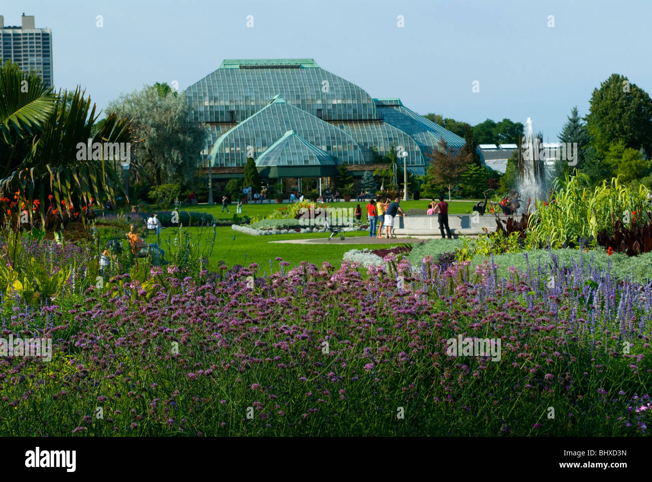 Lincoln Park Conservatory and perennial gardens for butterflies ...