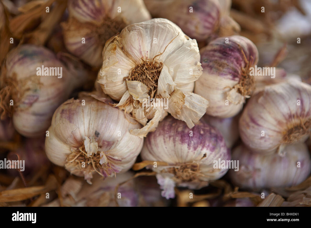 Dehydrated garlic hi-res stock photography and images - Alamy