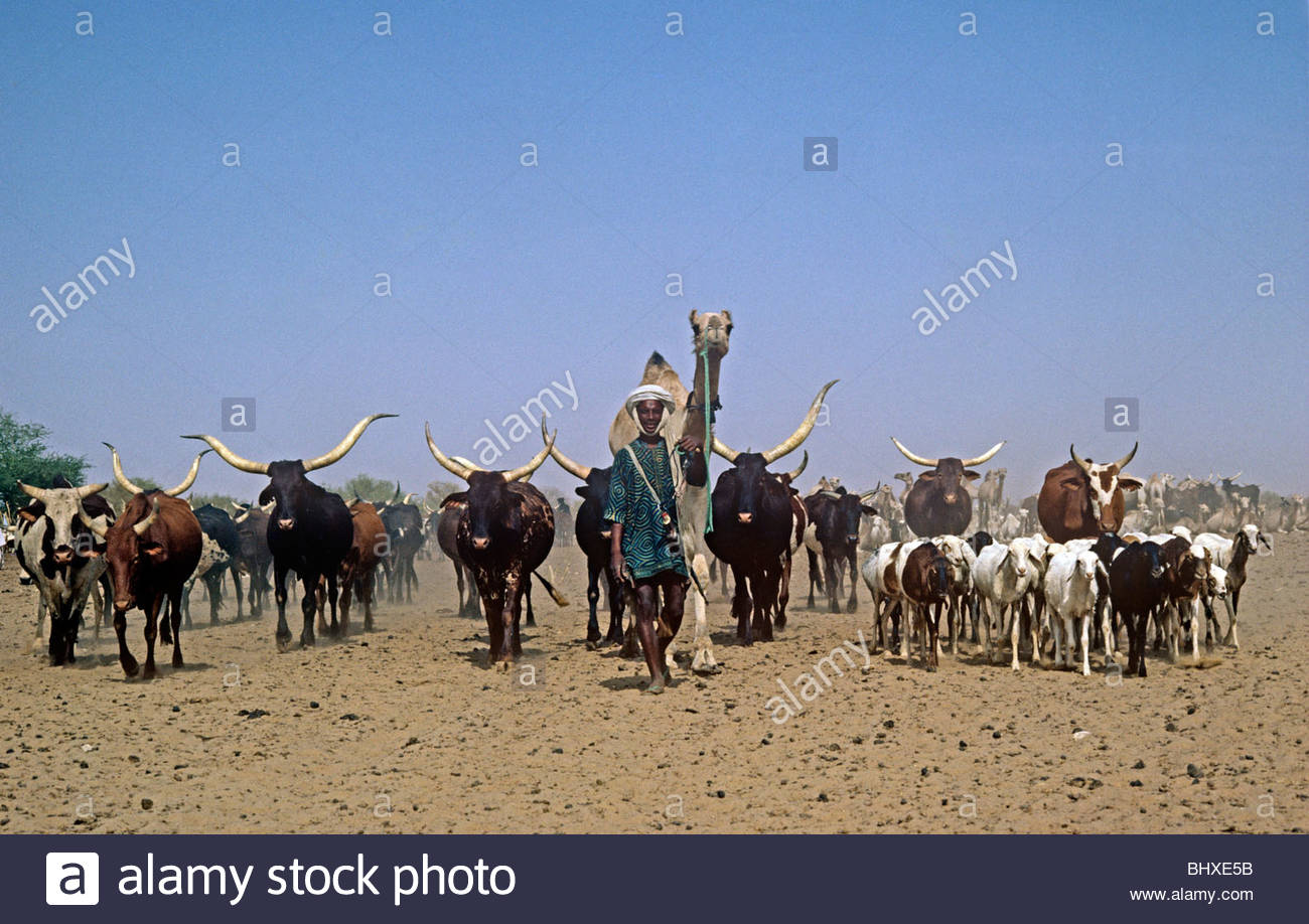 Wodaabe Tribe Stock Photos & Wodaabe Tribe Stock Images - Alamy