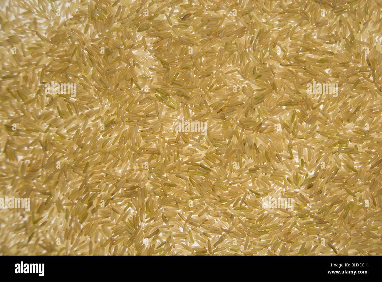 Scattered Basmati Rice Grains Isolated on a White Background Stock ...