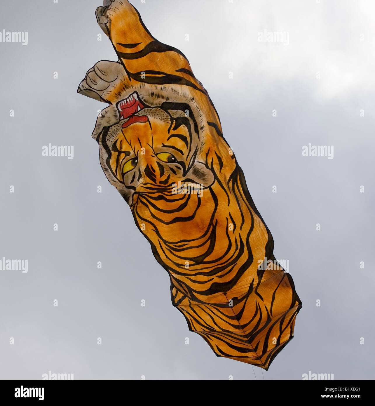 large tiger kite in the sky Stock Photo - Alamy