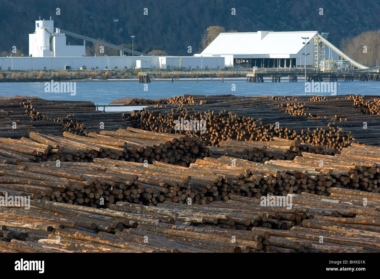 Lumber mills hi-res stock photography and images - Alamy